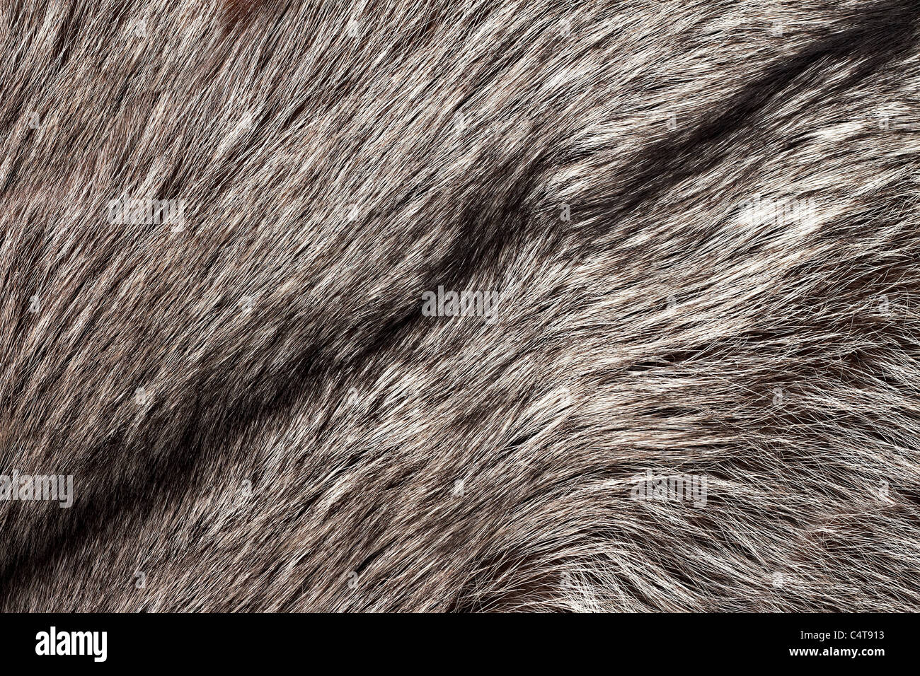 Fox Fur Texture