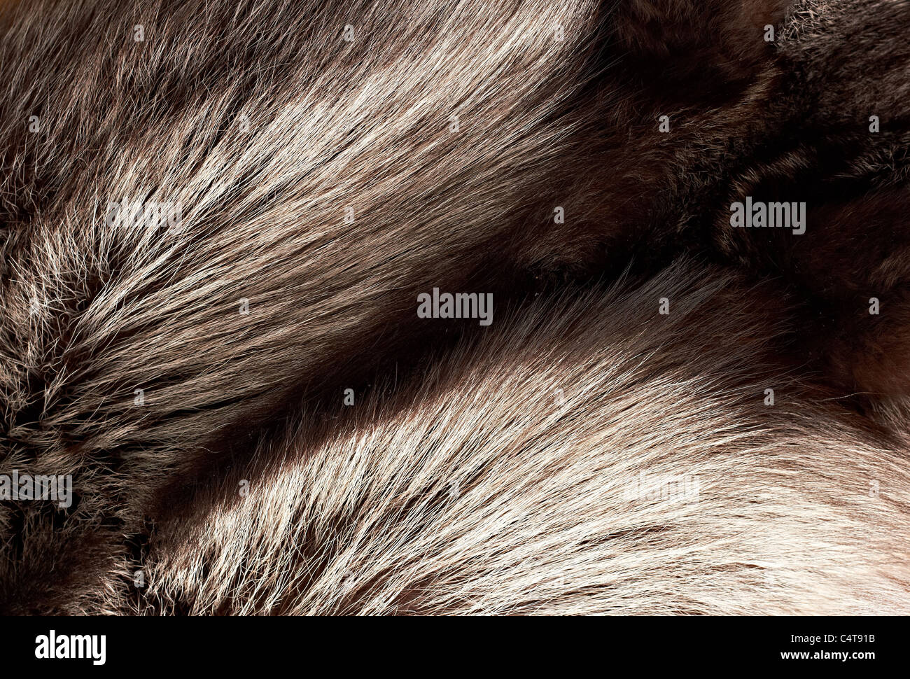 Silver fox fur texture as horizontal background Stock Photo - Alamy