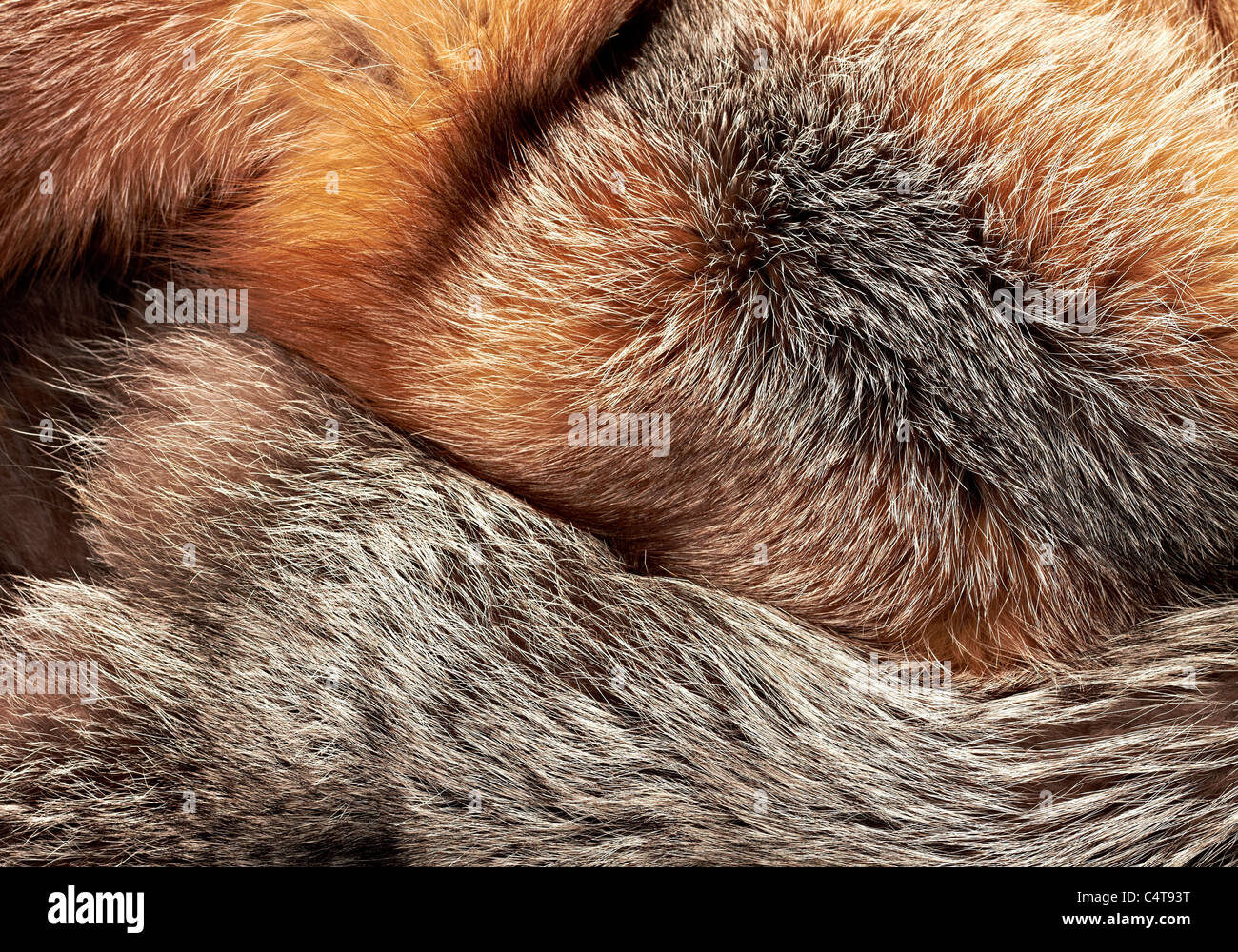 Red Fox Fur Fashion High Resolution Stock Photography and Images - Alamy