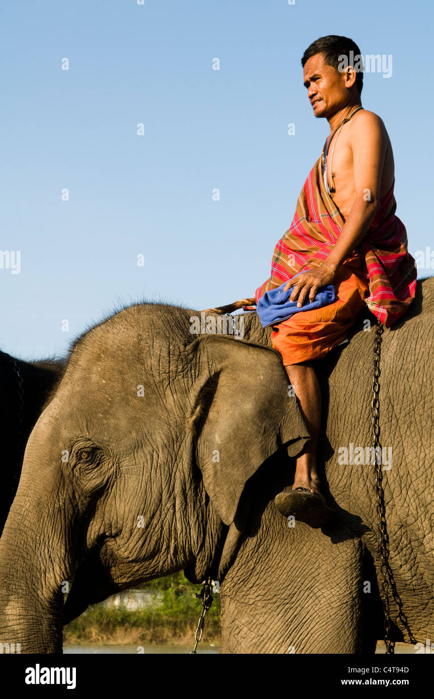 Mahut hi-res stock photography and images - Alamy