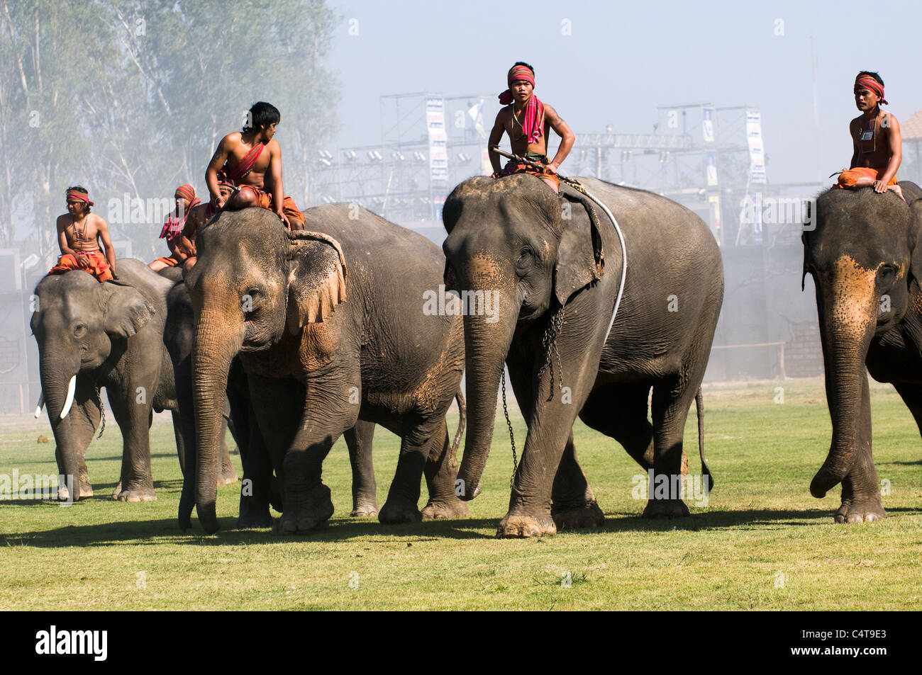 Scenes of the colorful Surin Elephant roundup Stock Photo - Alamy