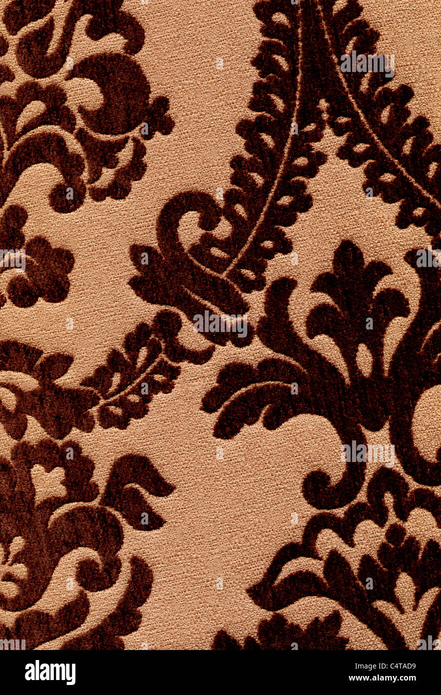 velvet interior with floral pattern Stock Photo - Alamy