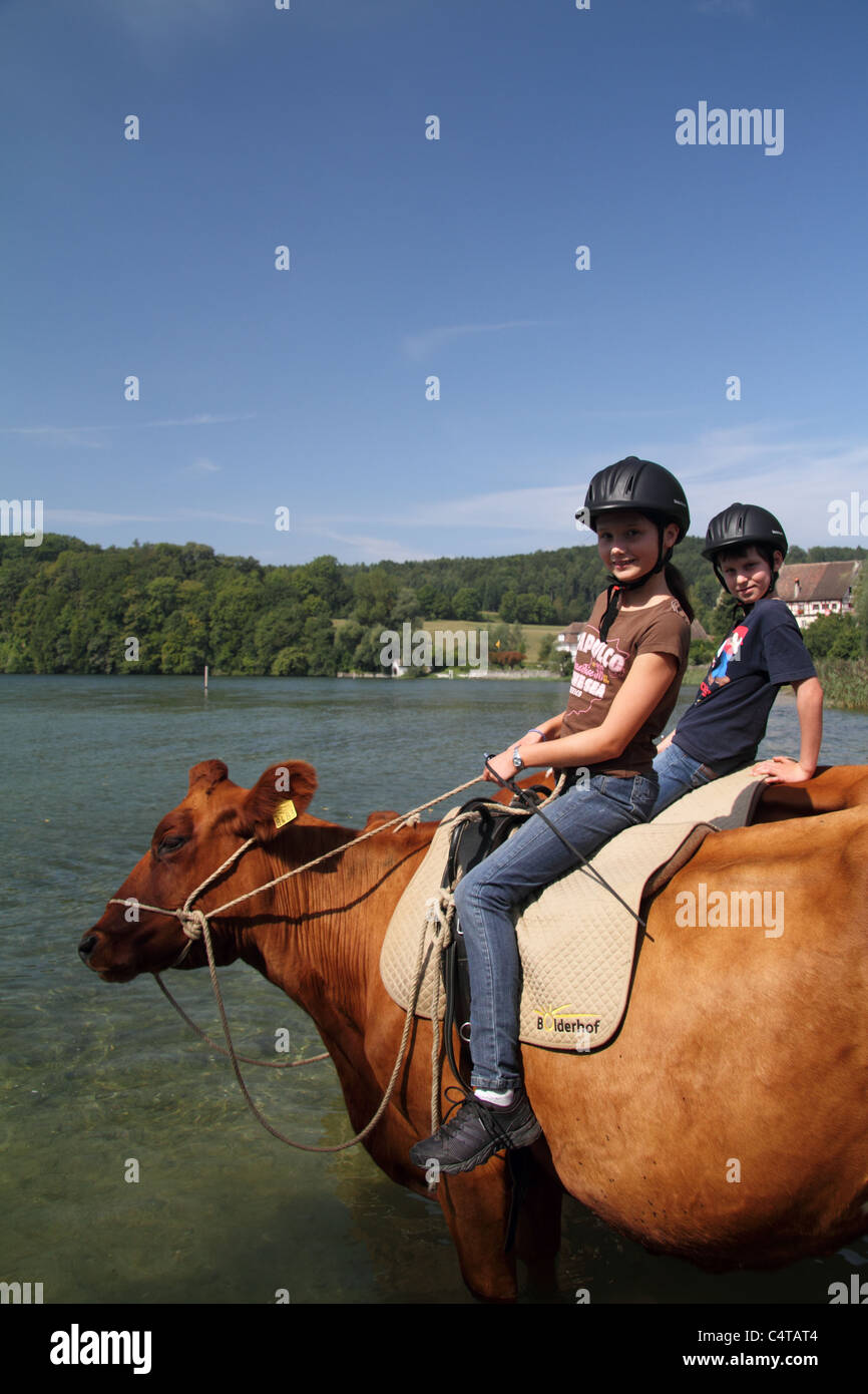 Cow riding hi-res stock photography and images - Alamy