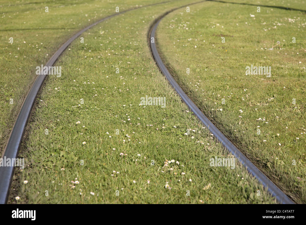 Green tram tracks hi-res stock photography and images - Alamy