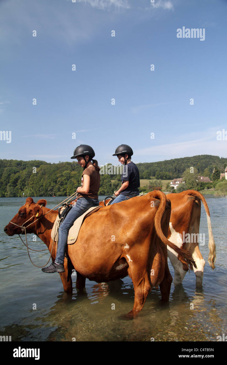 Children cow trekking by the River Rhine Stock Photo - Alamy
