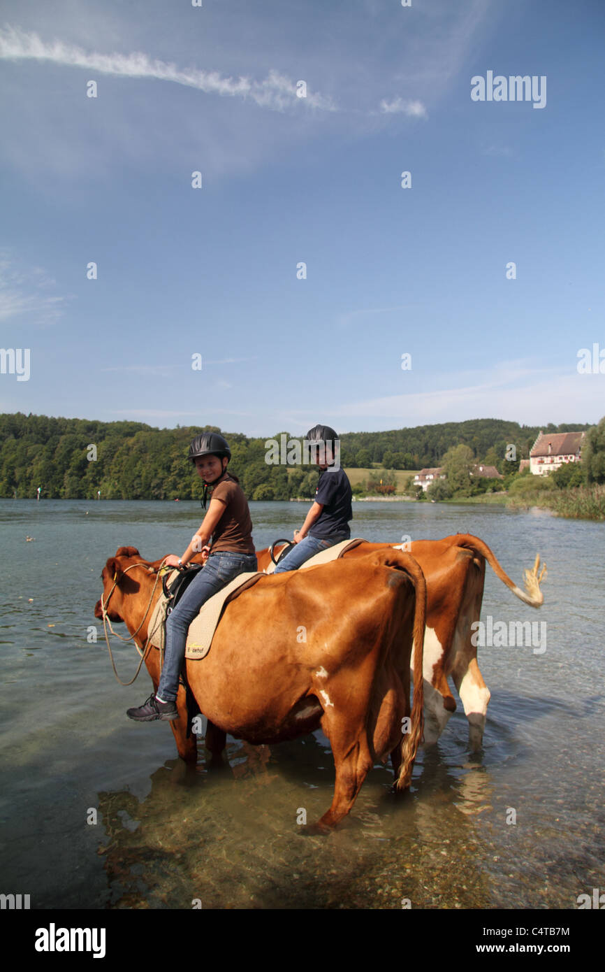 Cow riding hi-res stock photography and images - Alamy