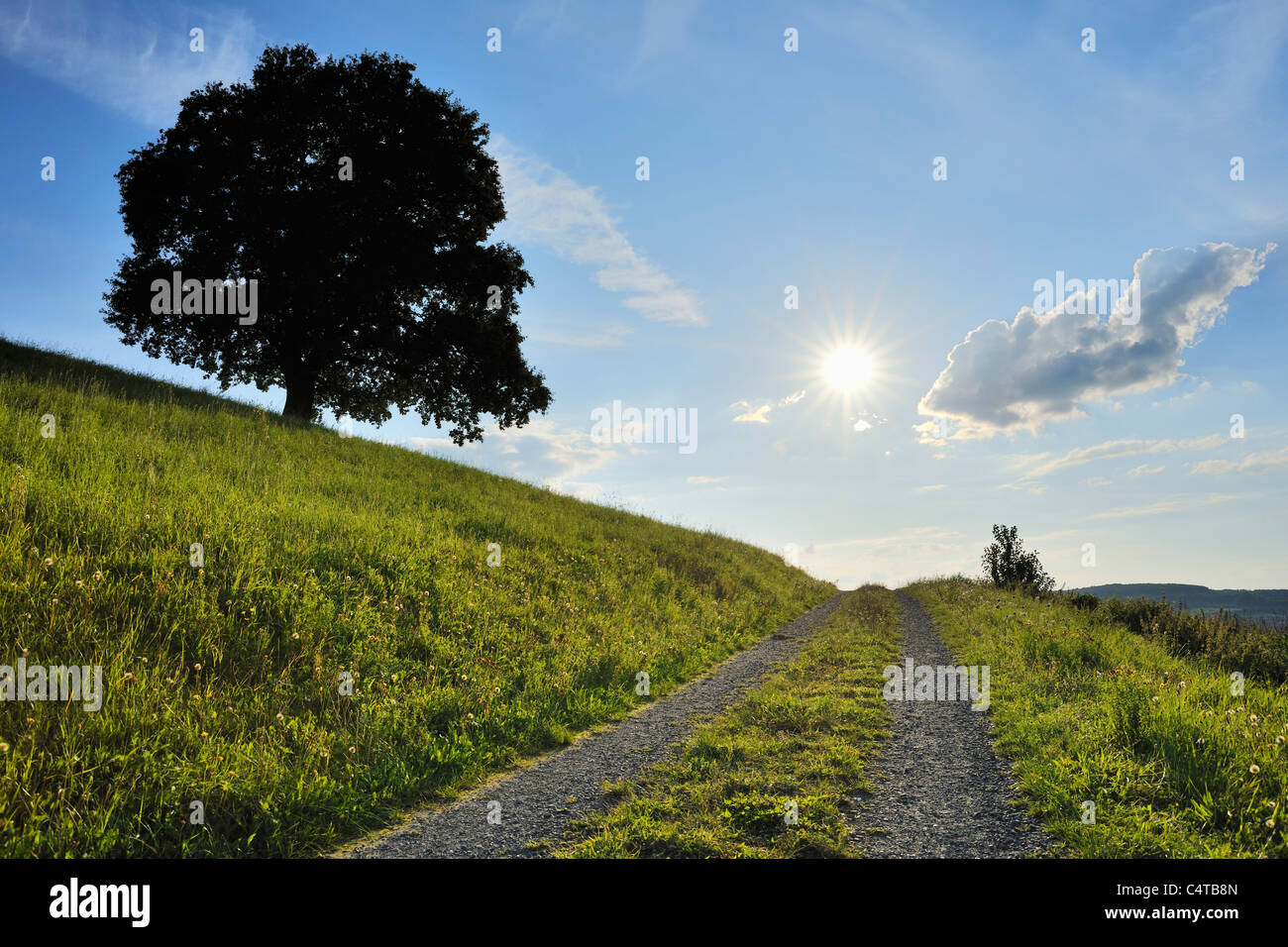 Odenwaldkreis hi-res stock photography and images - Alamy