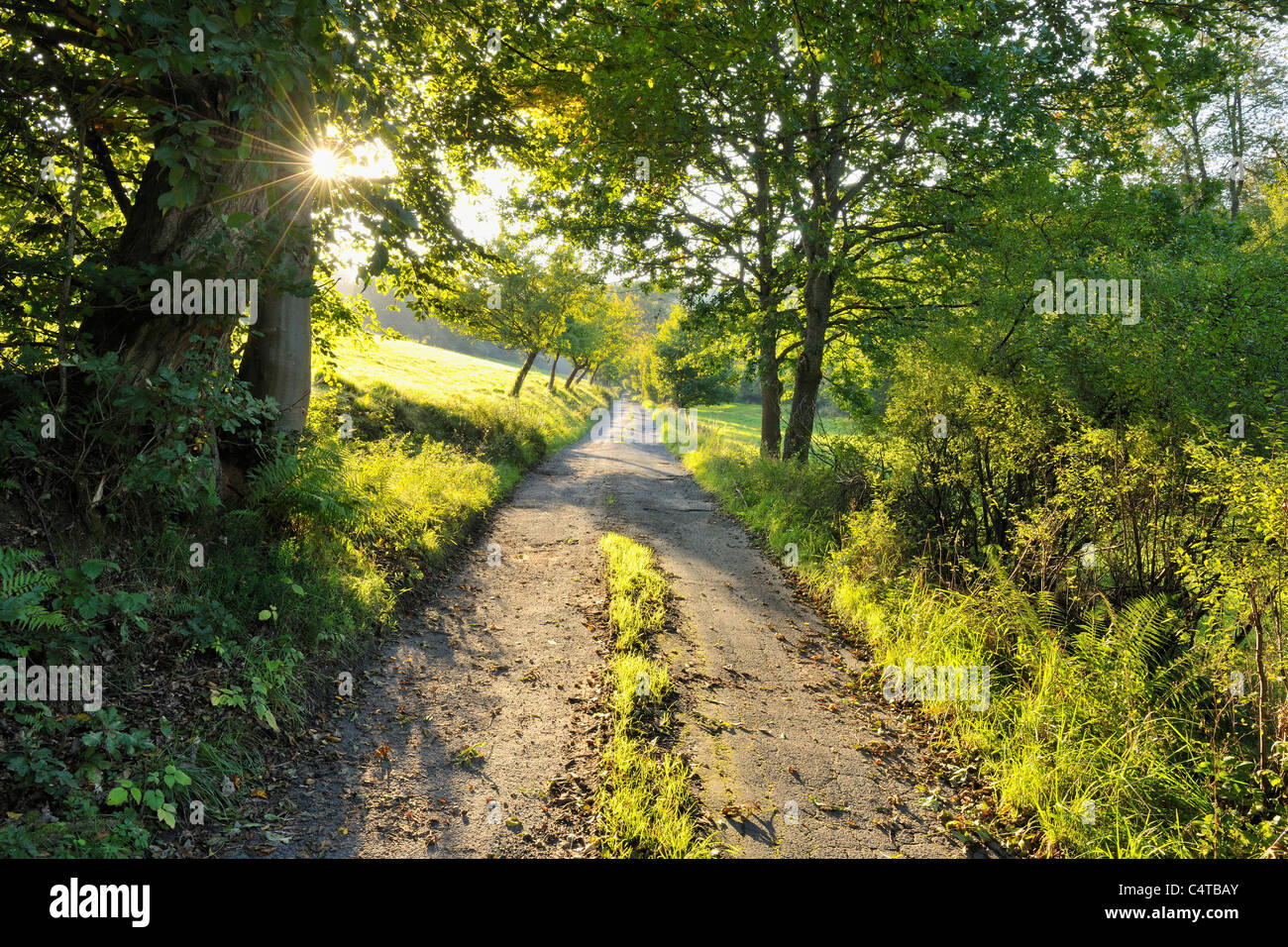 Rural district main spessart hi-res stock photography and images - Alamy