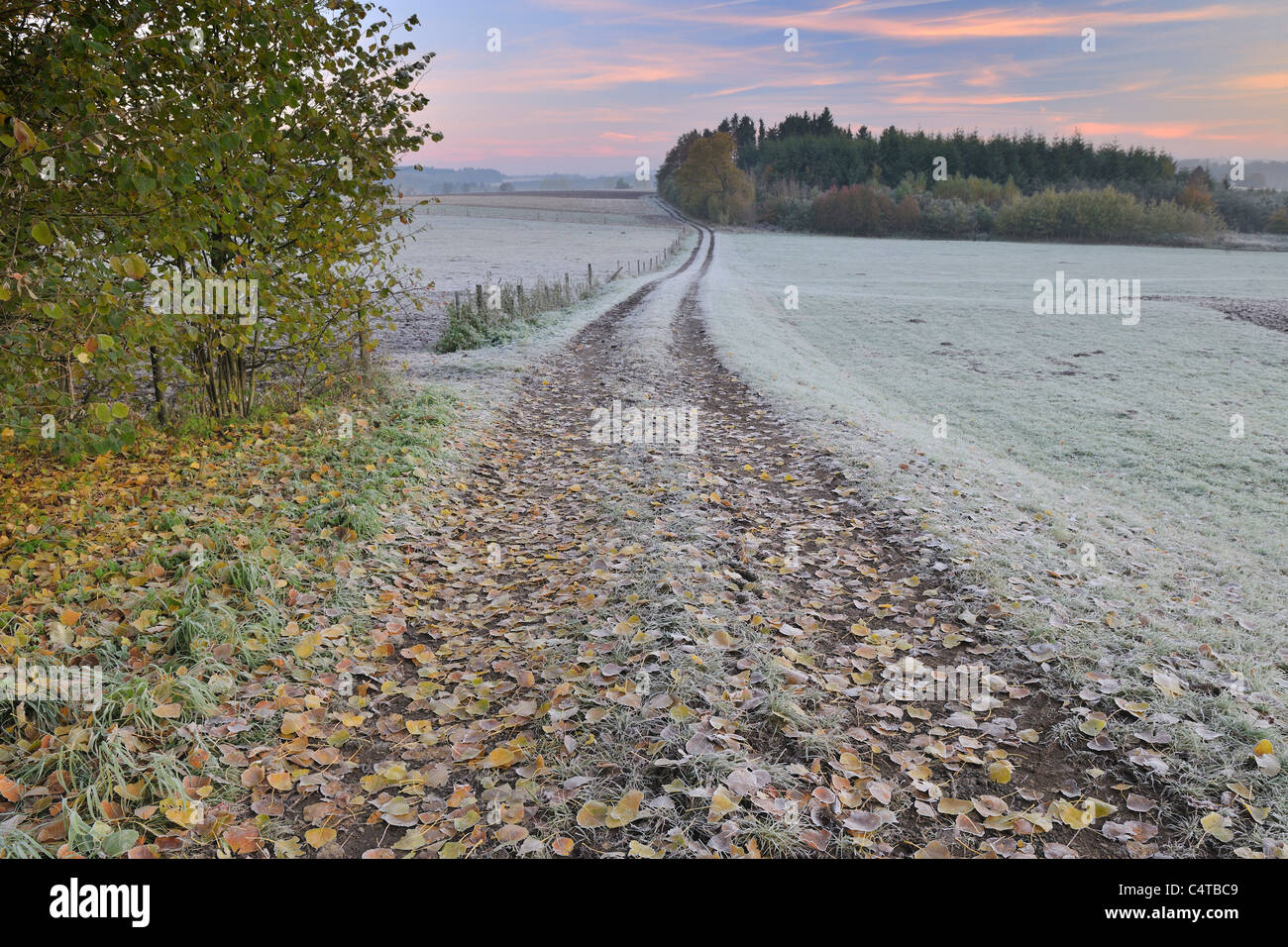 Schotten hi-res stock photography and images - Alamy