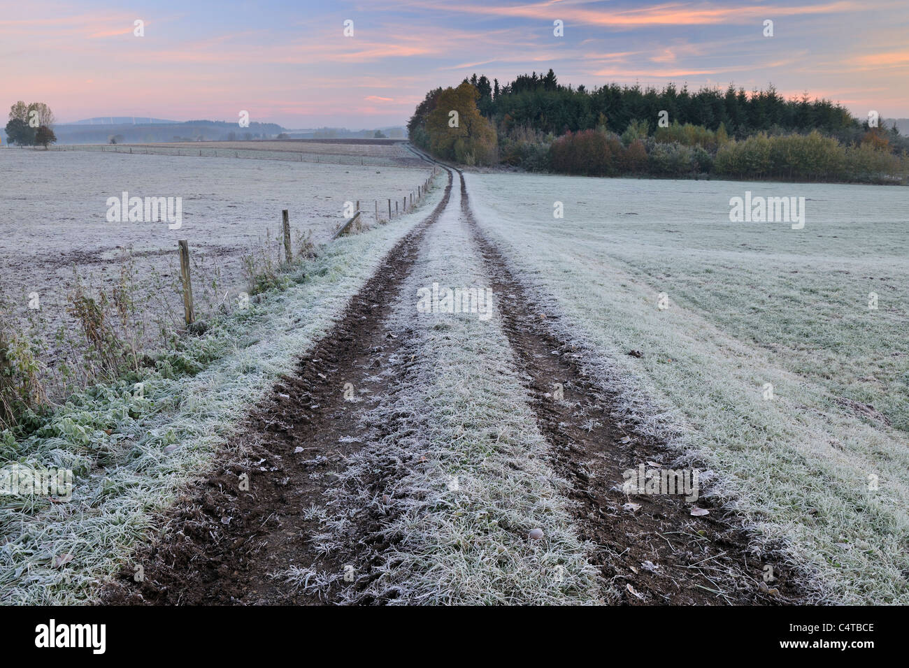 Schotten hi-res stock photography and images - Alamy