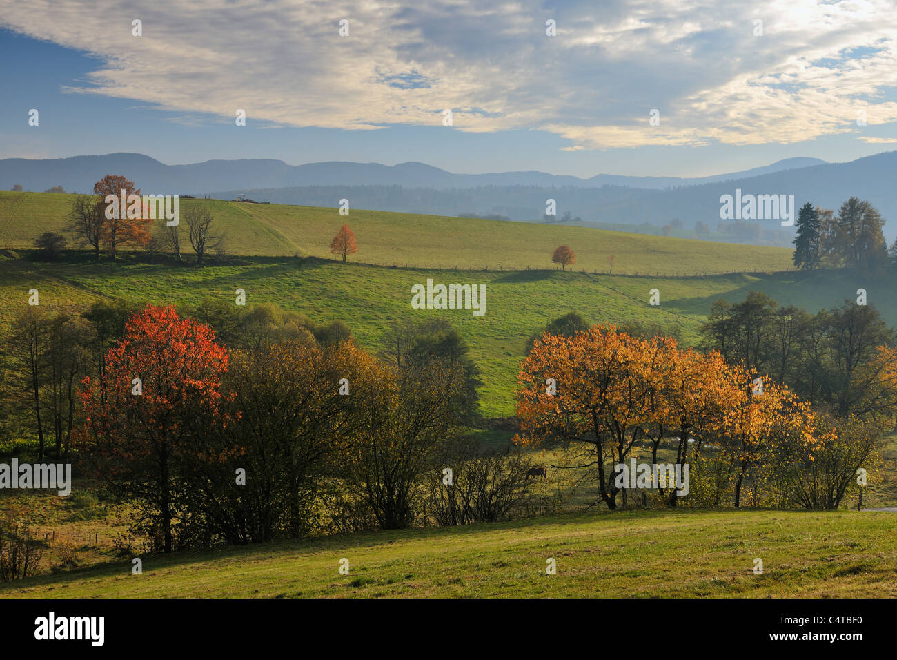 Gersfeld hi-res stock photography and images - Alamy