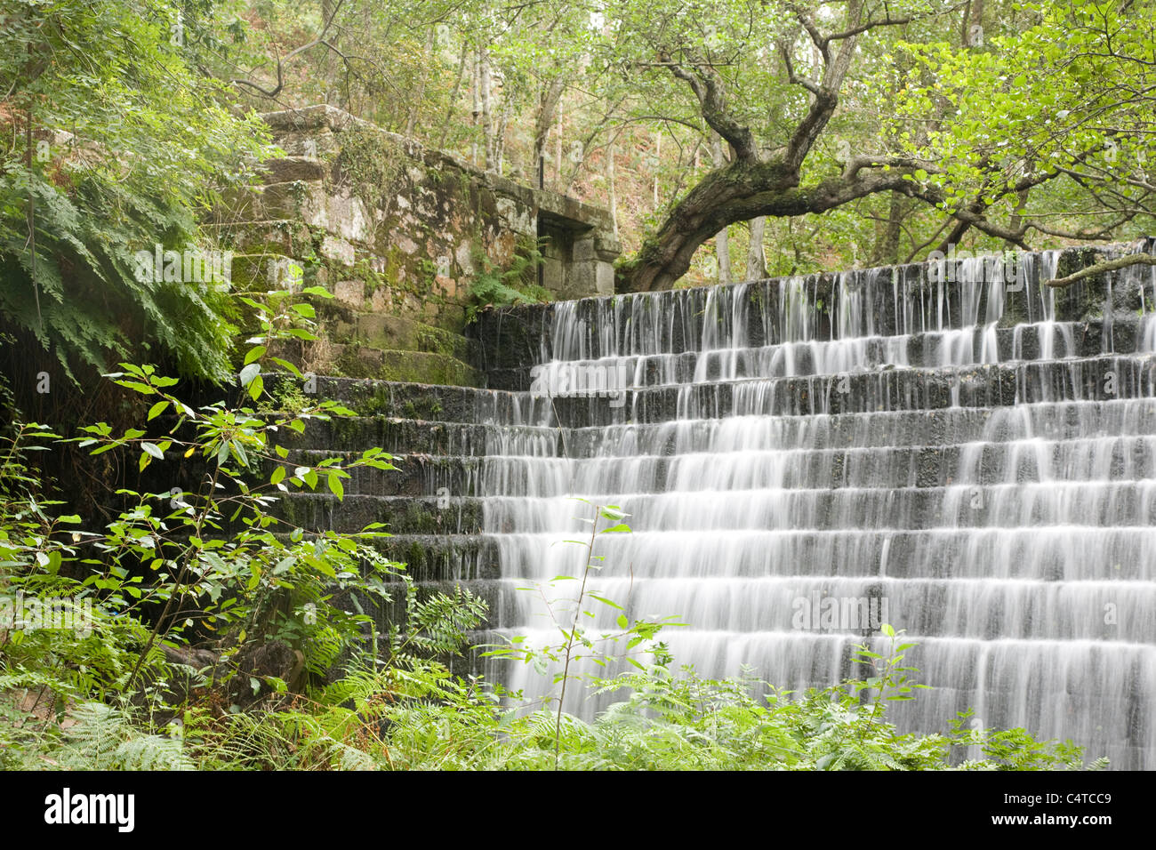 Step flow hi-res stock photography and images - Alamy
