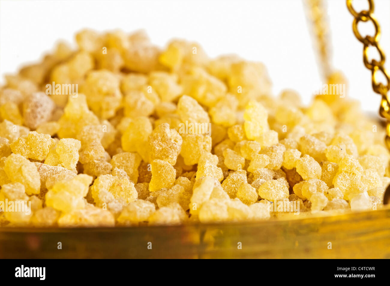 Boswellia serrata hi-res stock photography and images - Alamy