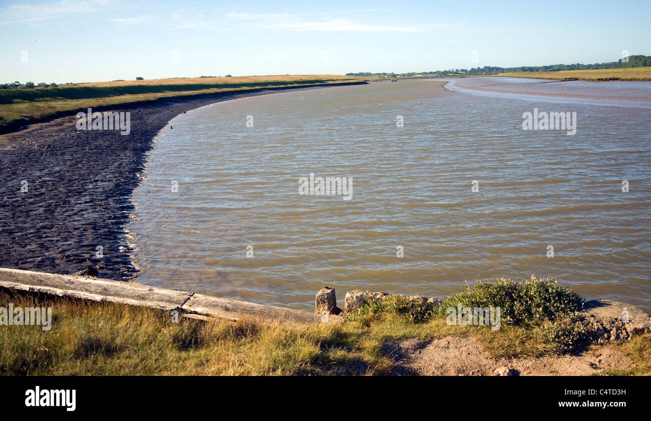 Muddy river bed hi-res stock photography and images - Alamy