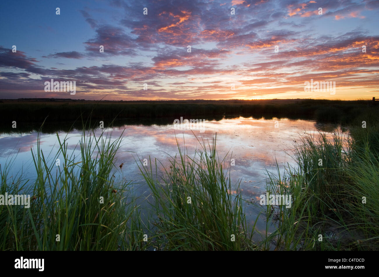 North kent marshes hi-res stock photography and images - Alamy