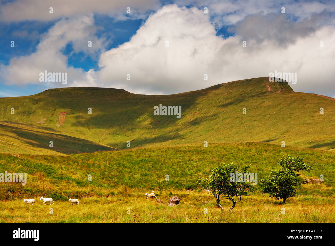 Corn Du and Pen y Fan from Upper Neuadd Reservoir, Brecon Beacons ...
