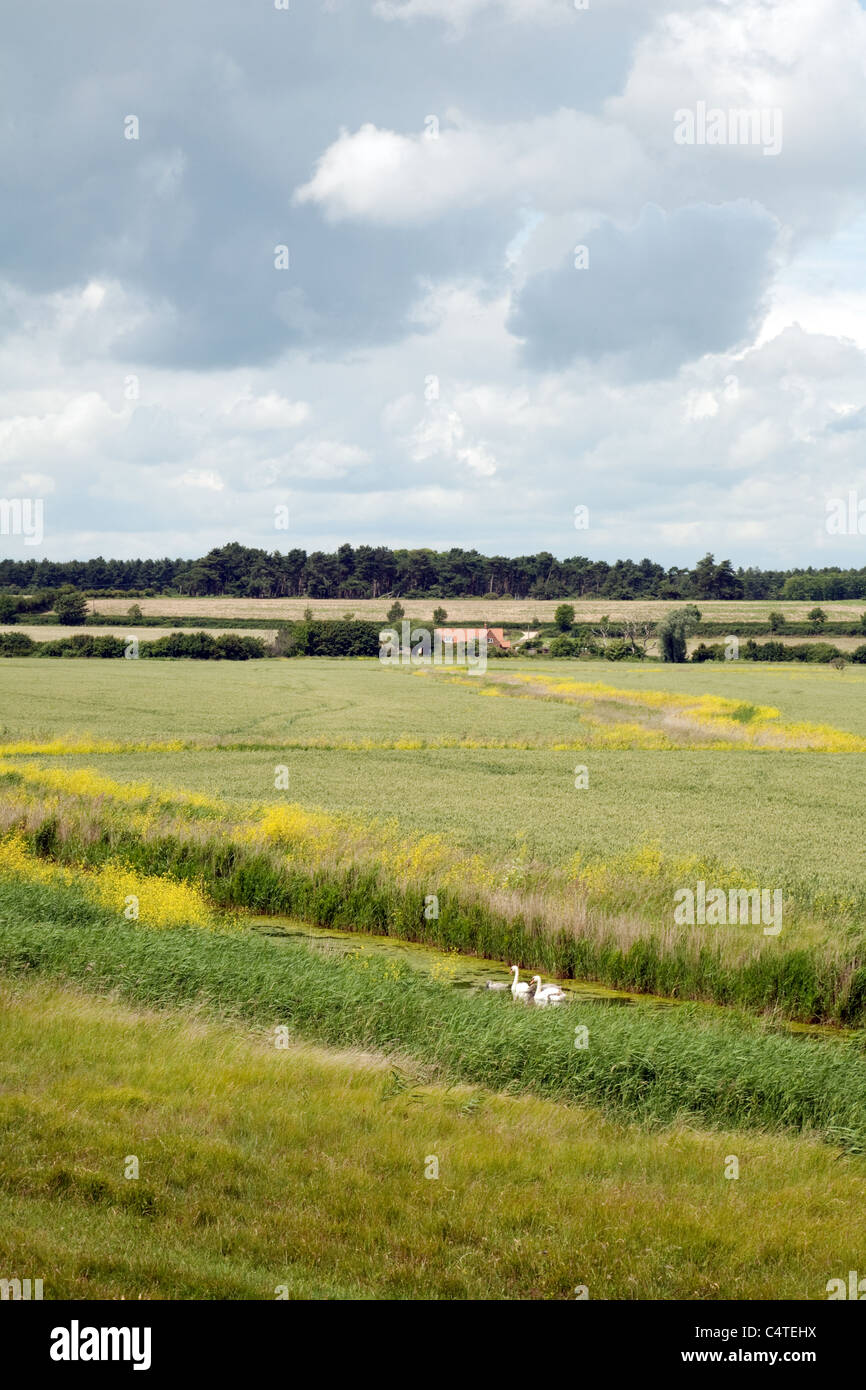 Suffolk countryside hi-res stock photography and images - Alamy