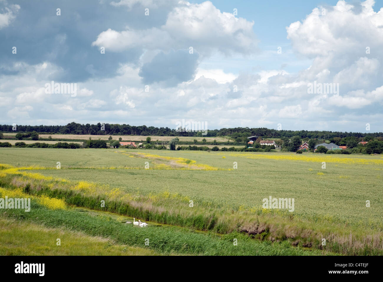 The Suffolk countryside at Orford , Suffolk UK Stock Photo - Alamy