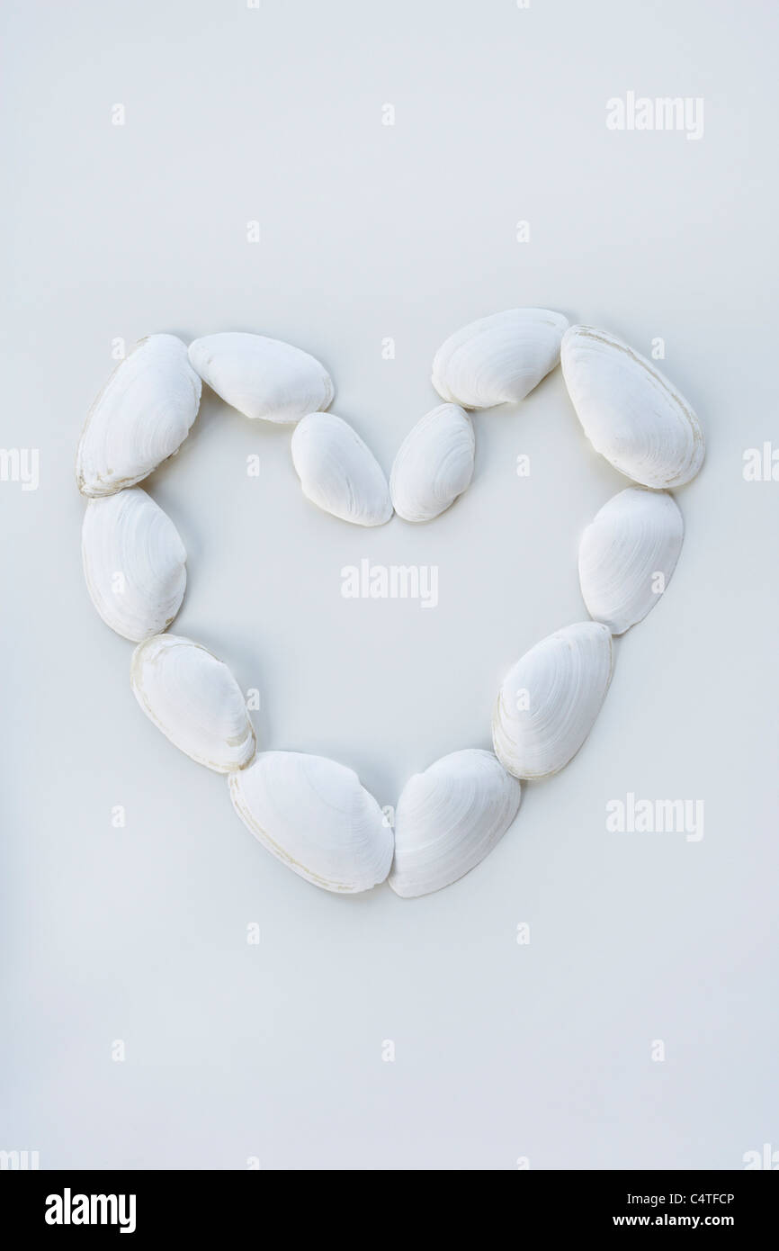 Seashells in the Shape of a Heart Stock Photo - Alamy