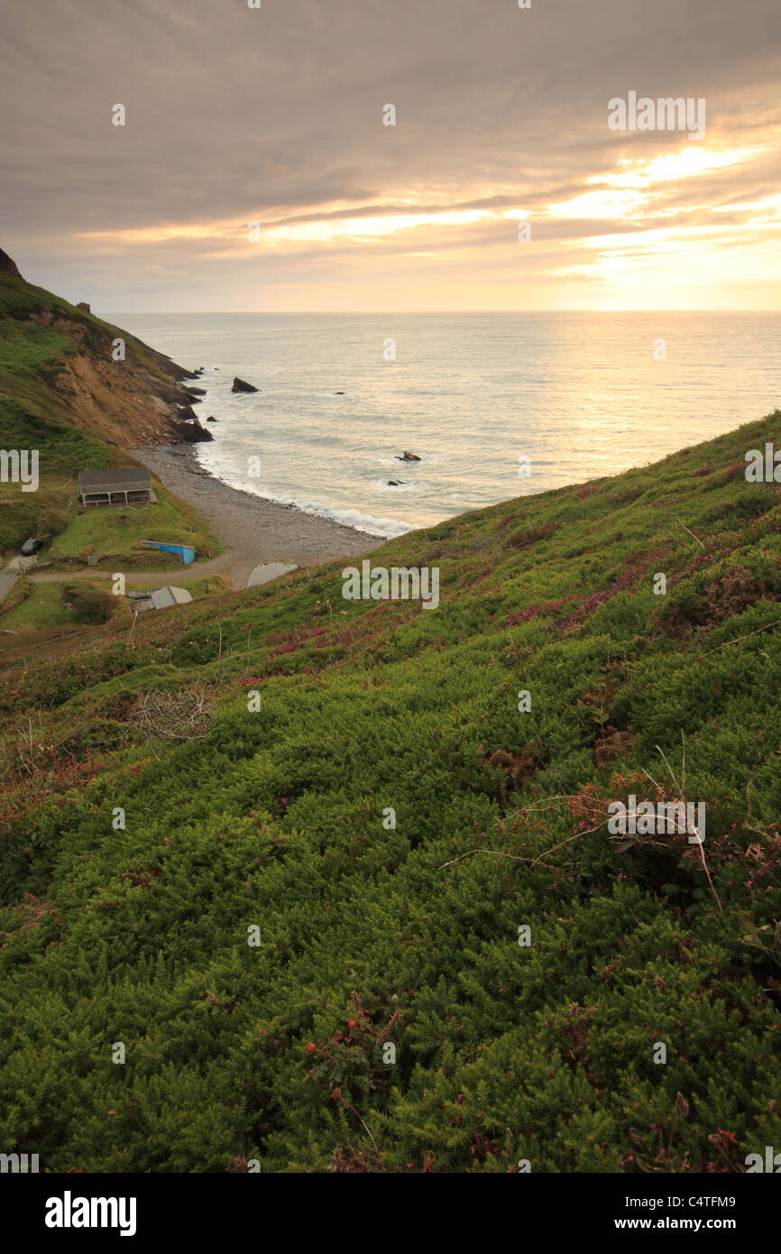 Cornwall atlantic coast setting hi-res stock photography and images - Alamy
