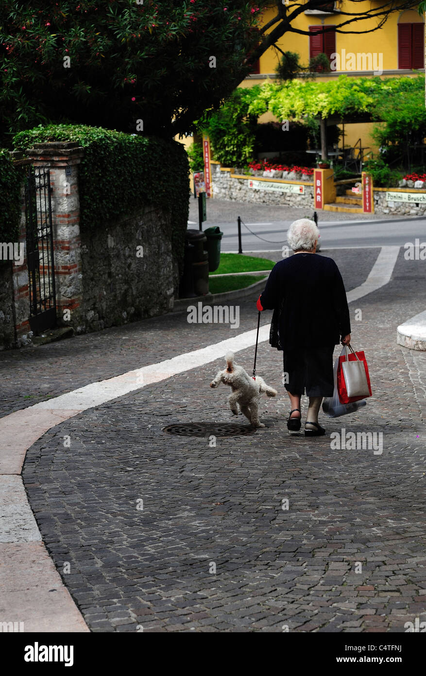 Skipping dog hi-res stock photography and images - Alamy