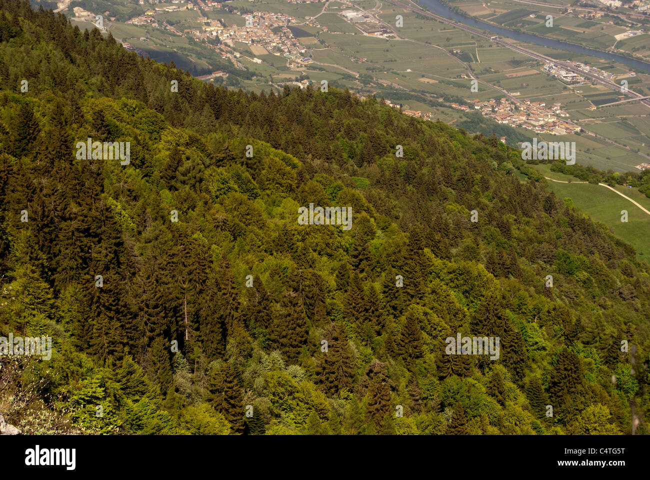 Great image looking out over the forests Stock Photo - Alamy