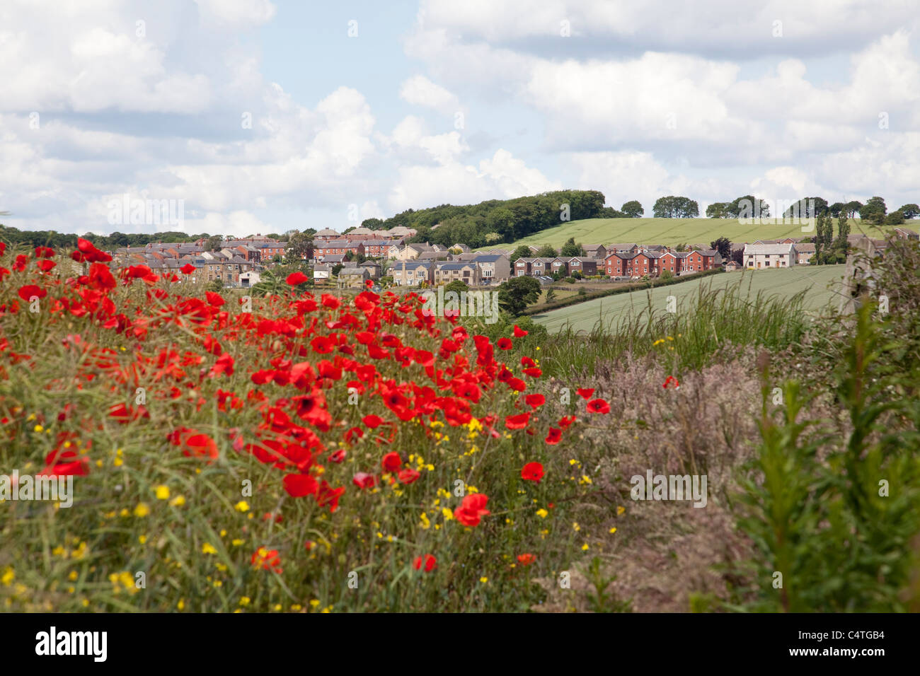 Flockton hi-res stock photography and images - Alamy