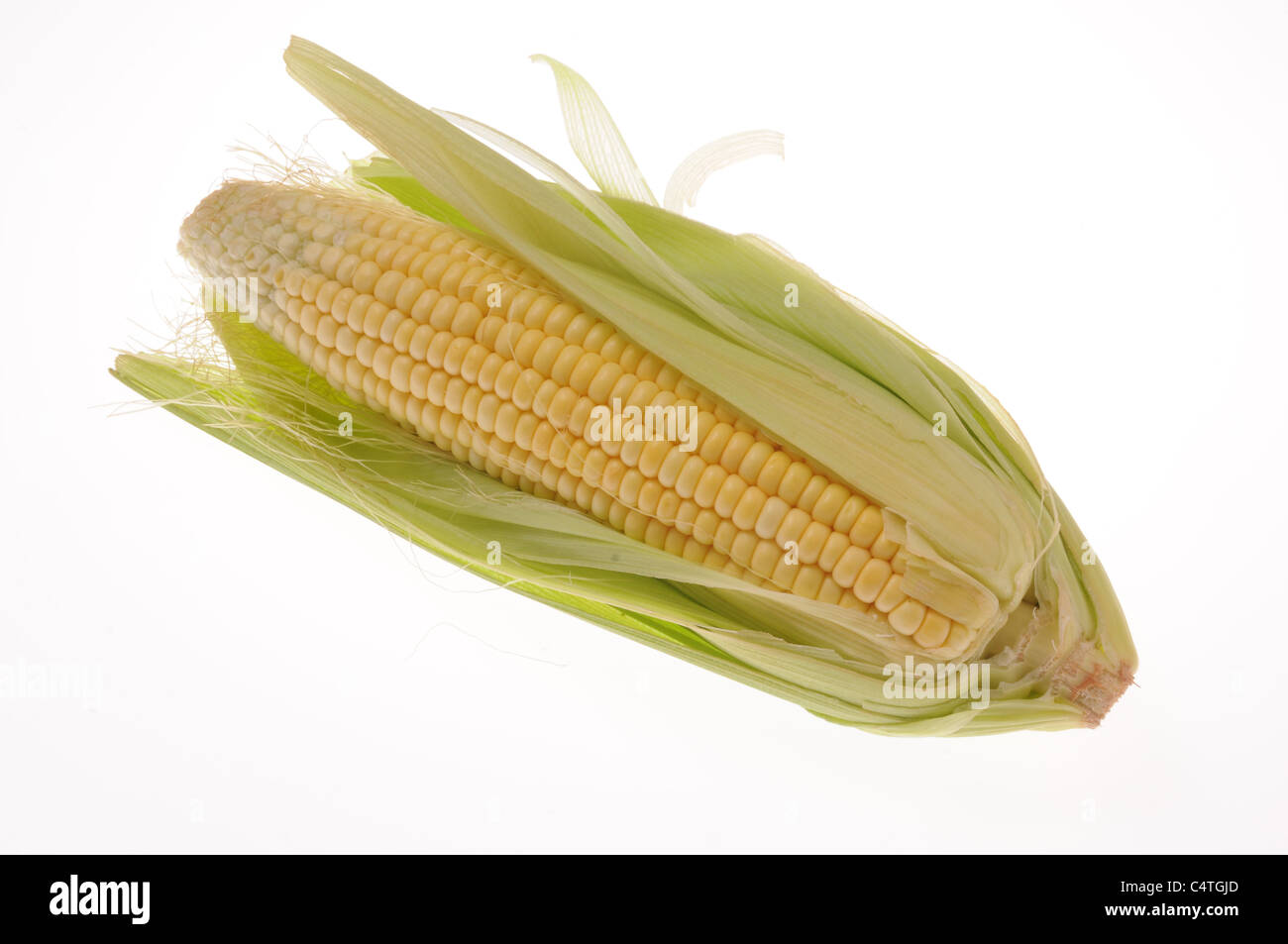 Raw corn cob husk Cut Out Stock Images & Pictures - Alamy