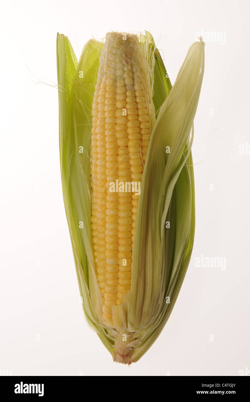 Ear corn cob hi-res stock photography and images - Alamy