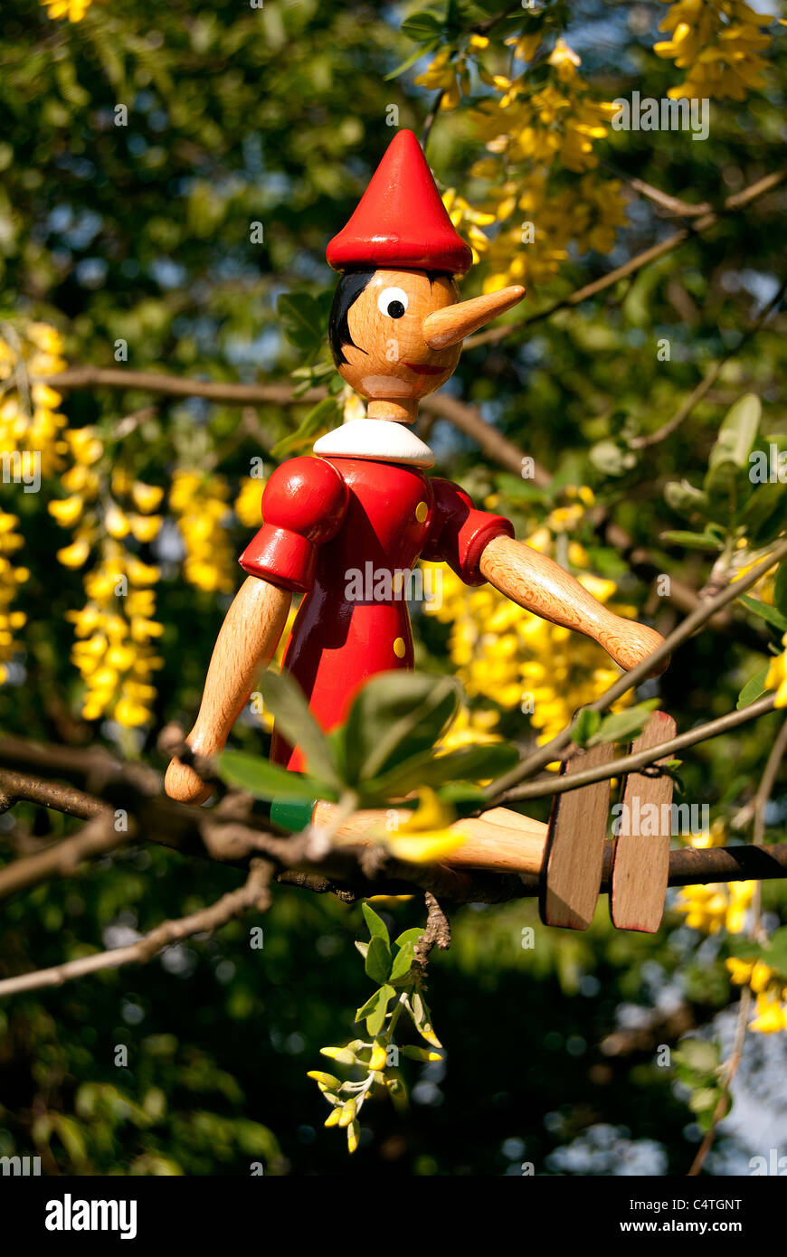 Pinocchio, italian wooden puppet with long nose, in the nature Stock ...