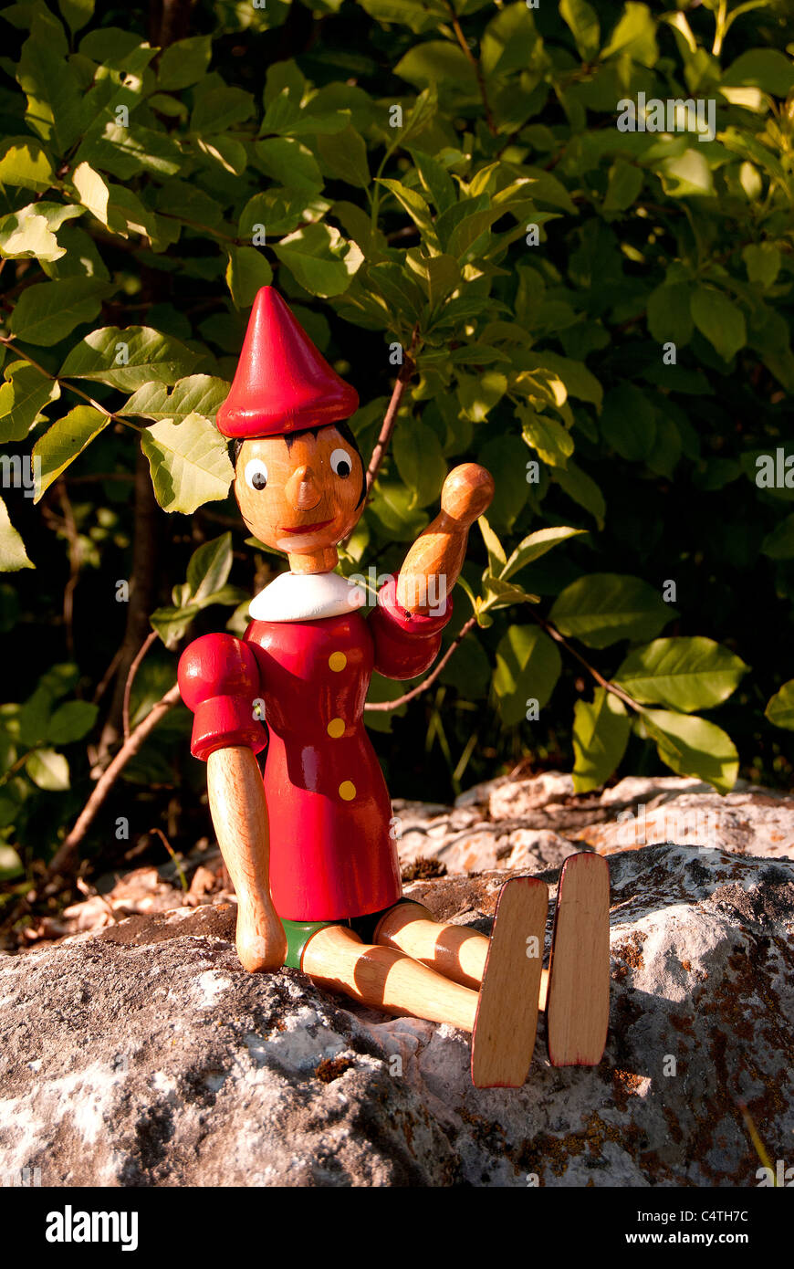 Pinocchio, italian wooden puppet with long nose, in the nature Stock ...