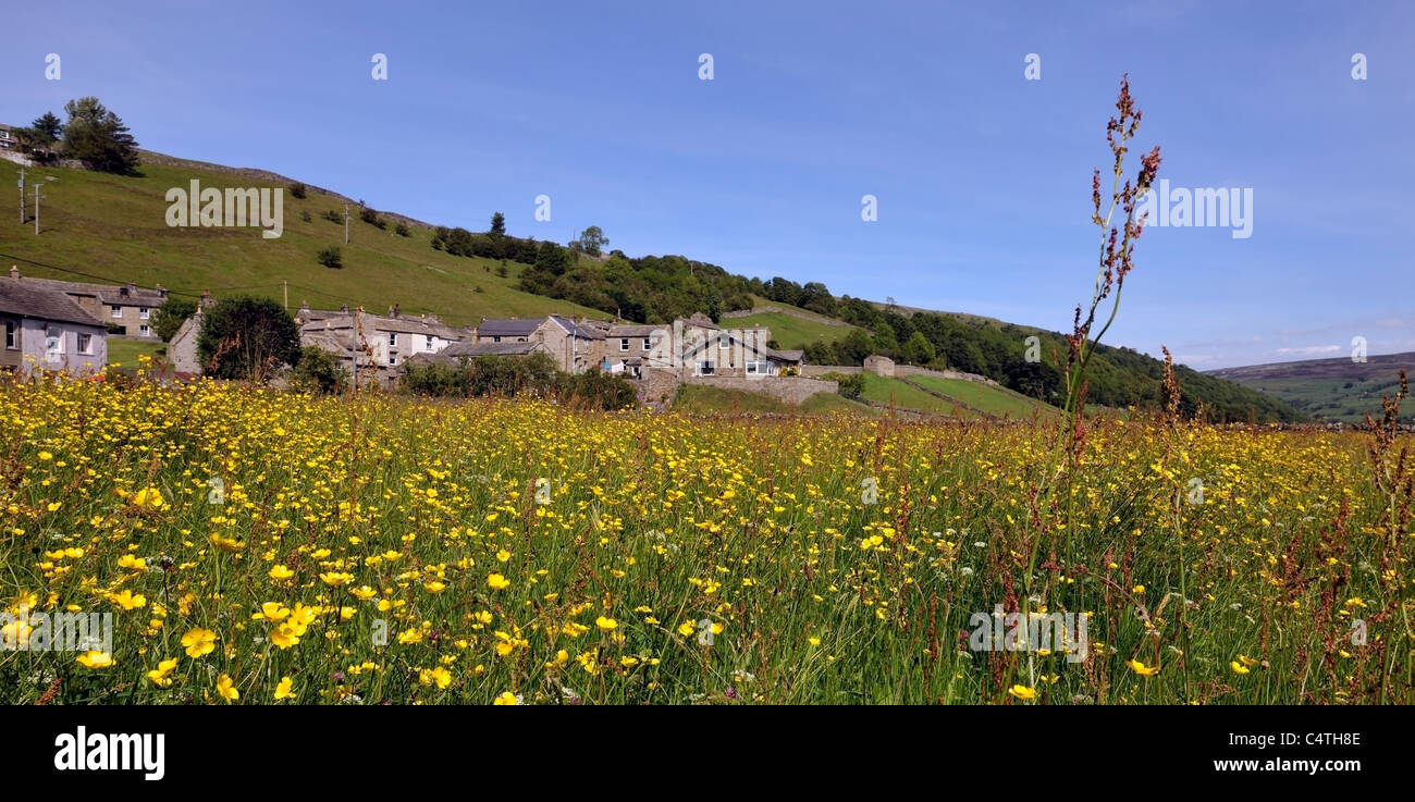 Yorkshire wildflowers hi-res stock photography and images - Alamy