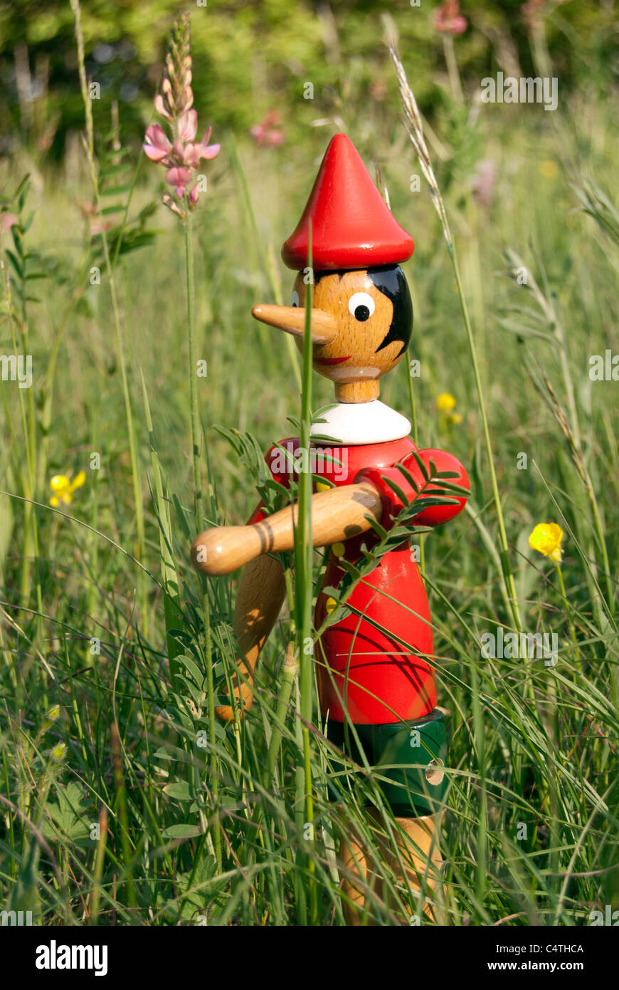 Pinocchio, italian wooden puppet with long nose, in the nature Stock ...