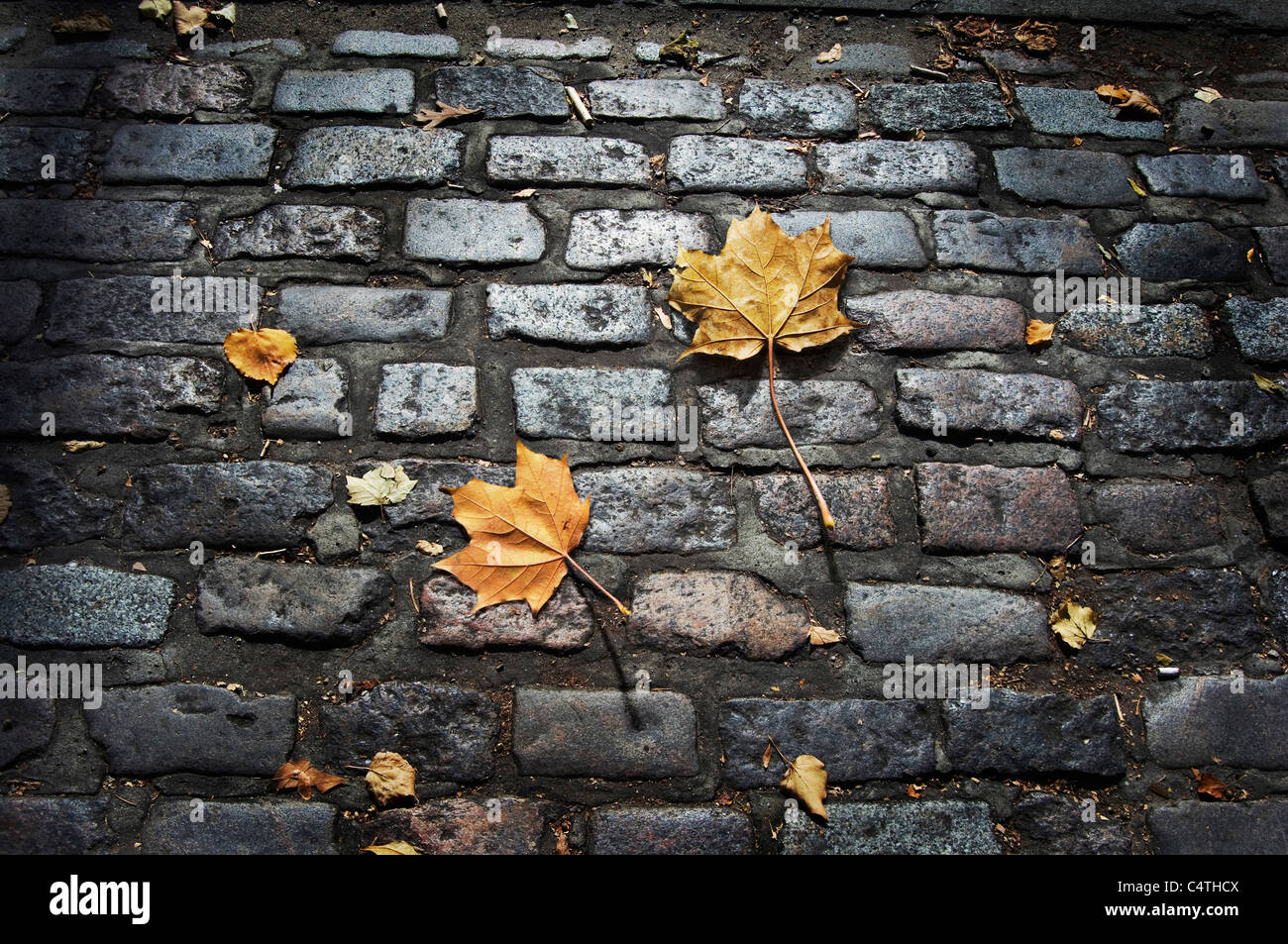 Autumn Leaves on Cobblestones Stock Photo - Alamy