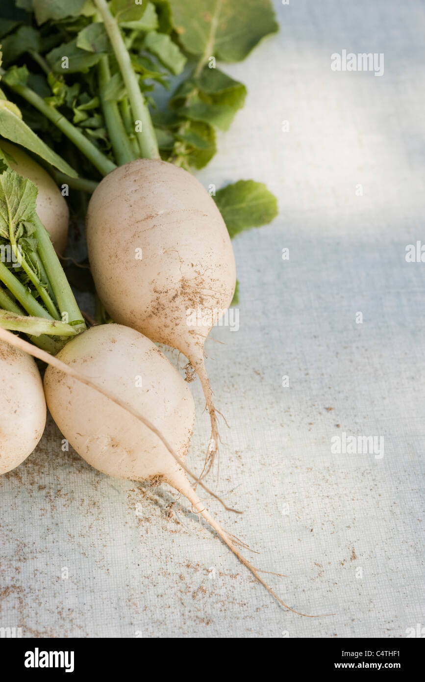 Radish hi-res stock photography and images - Alamy