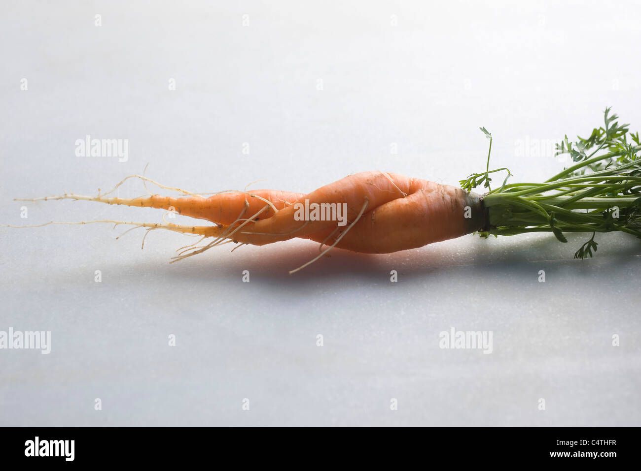 Twisted Carrots Stock Photos & Twisted Carrots Stock Images - Alamy