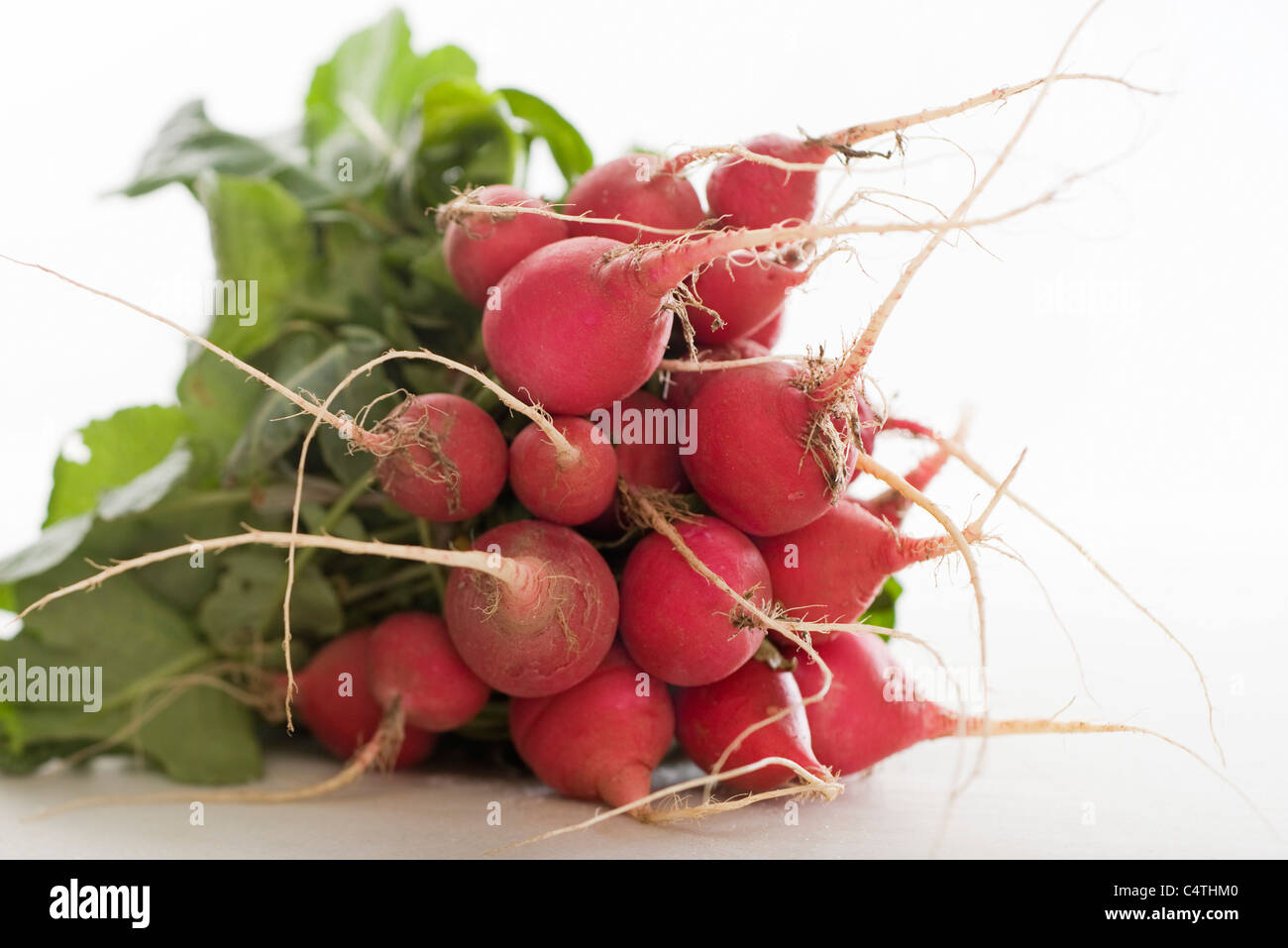 Radishes cut out hi-res stock photography and images - Alamy