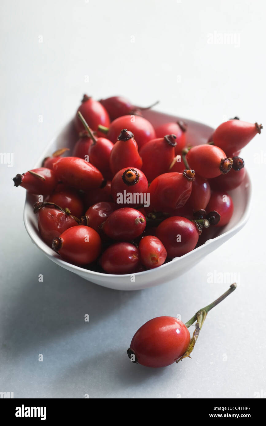 Rosehip images hi-res stock photography and images - Alamy