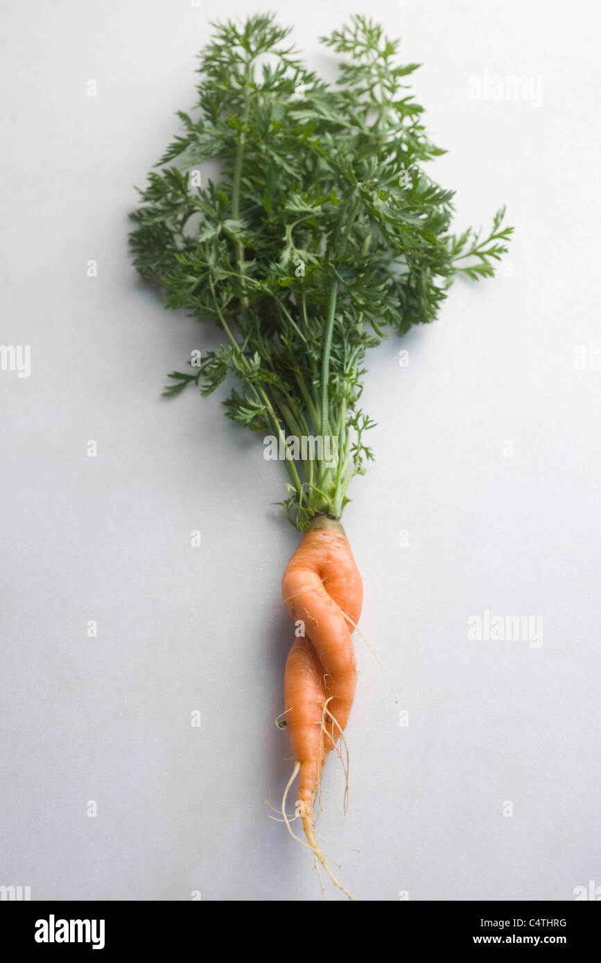Carrot single cut out hi-res stock photography and images - Alamy
