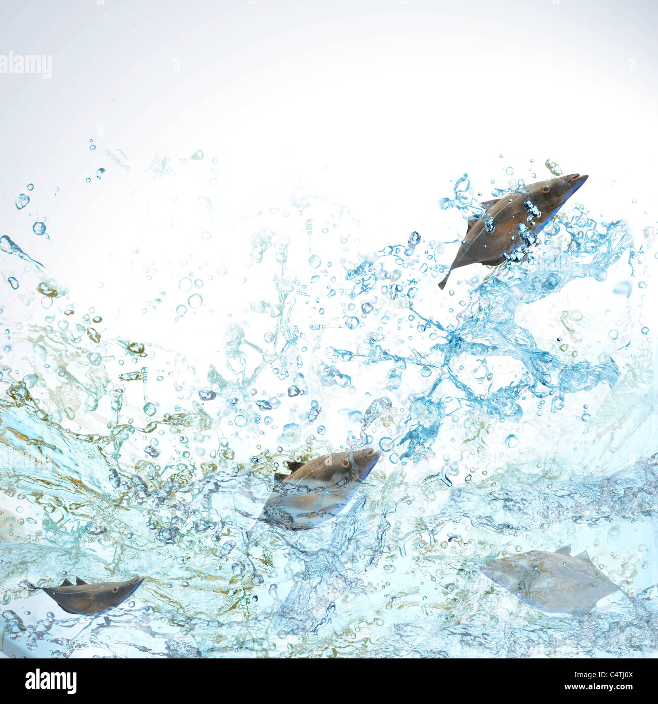 Fish jumping hi-res stock photography and images - Alamy