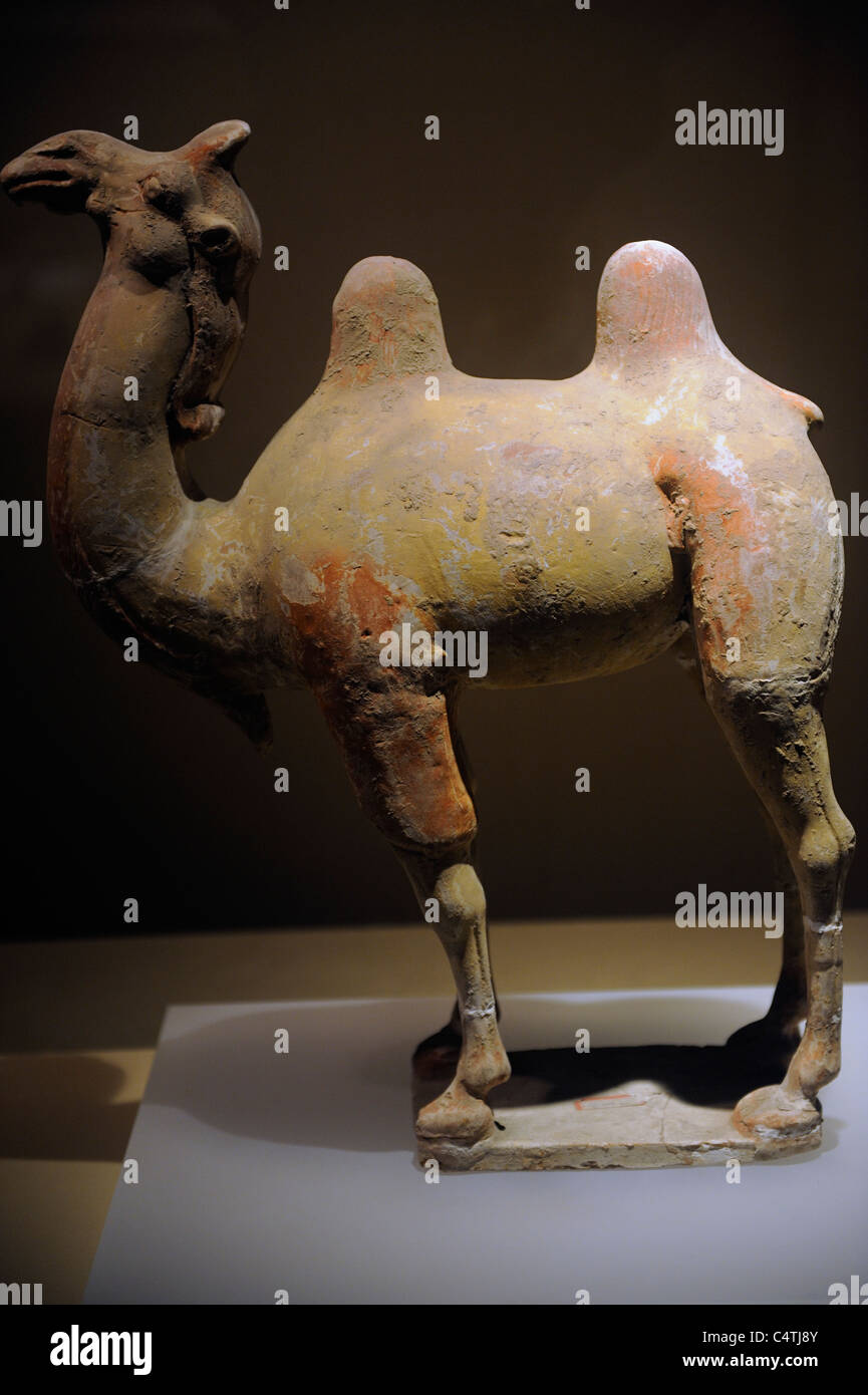Painted Pottery Camel in Shaanxi History Museum, Tang Dynasty(618-907 ...