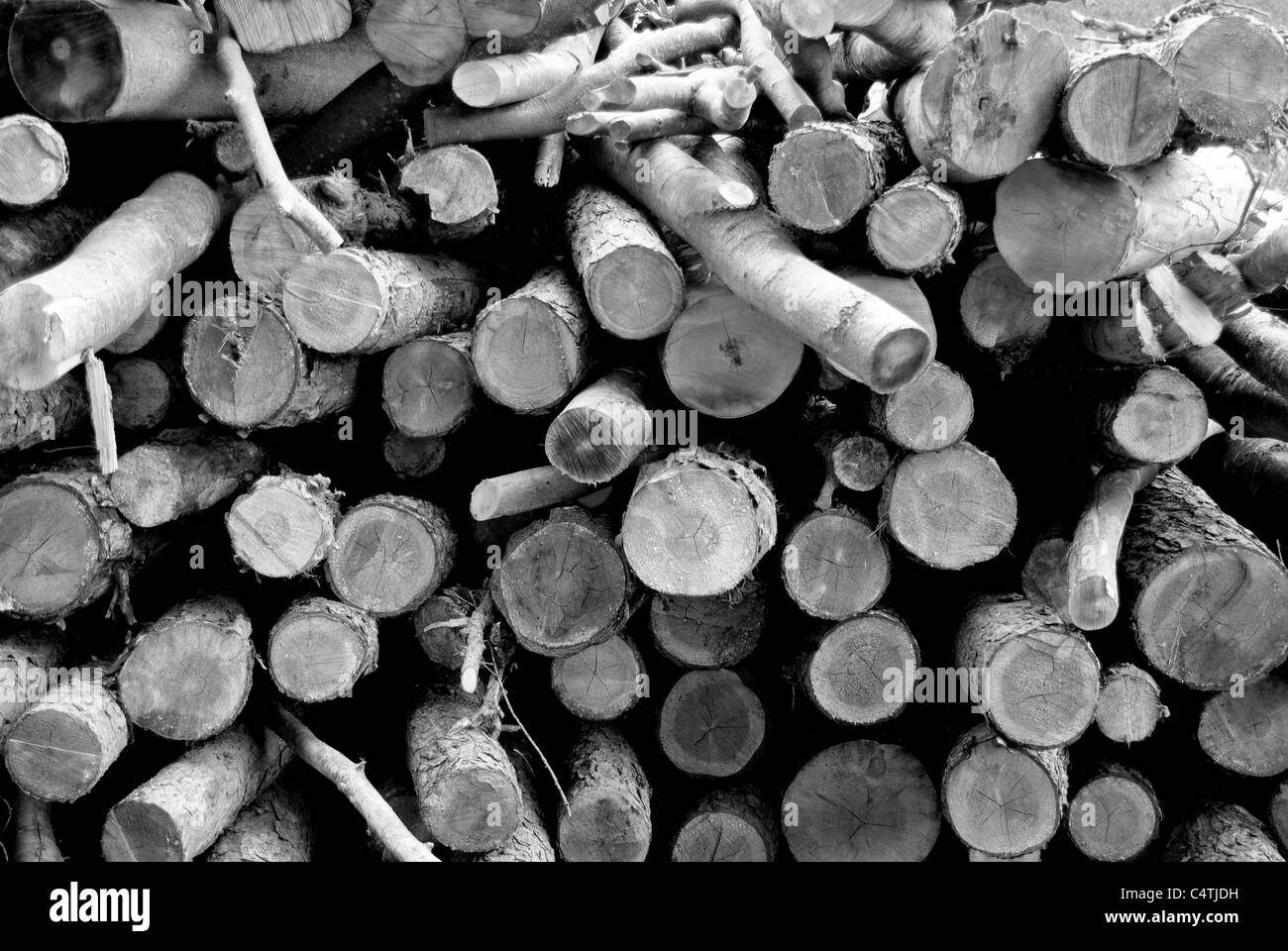 Green cut pile Black and White Stock Photos & Images - Alamy