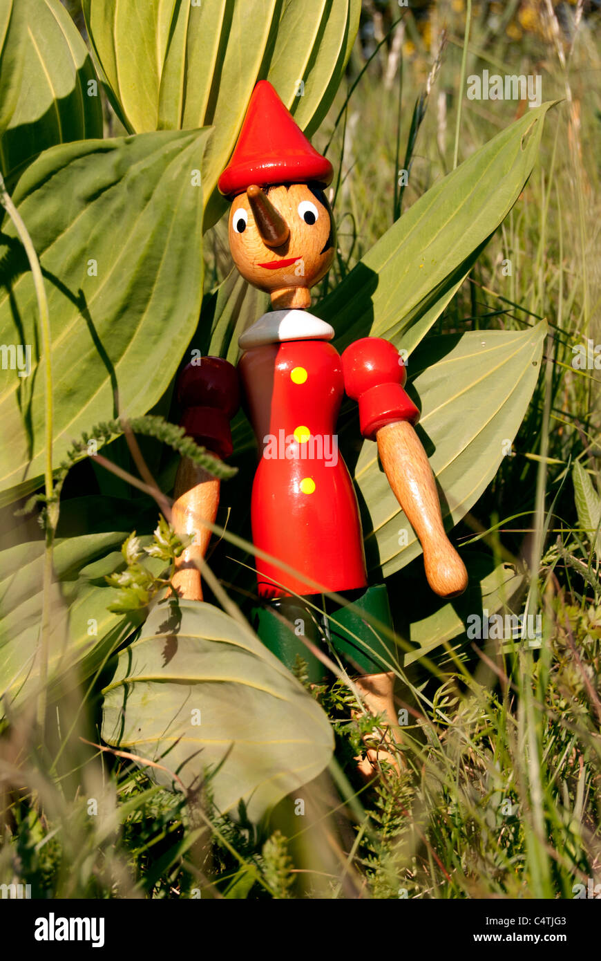 Pinocchio, italian wooden puppet with long nose, in the nature Stock ...