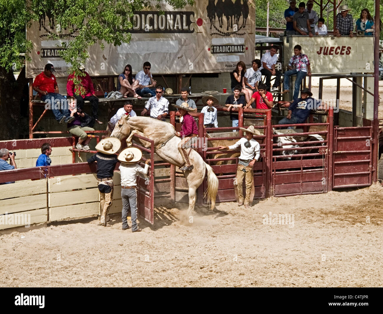 Mexican Rodeo, Bucking Bronco Horse event gone Bad. San Antonio, Texas ...