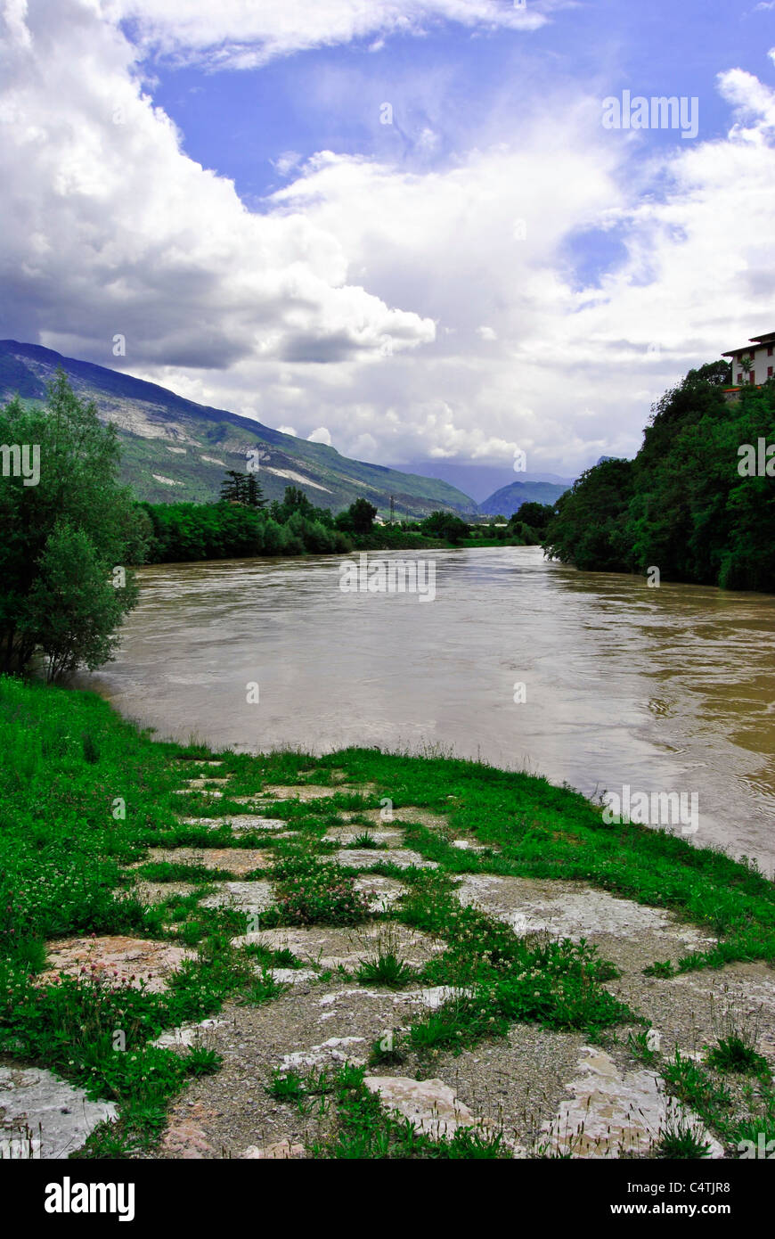 River and spring forest Stock Photo - Alamy