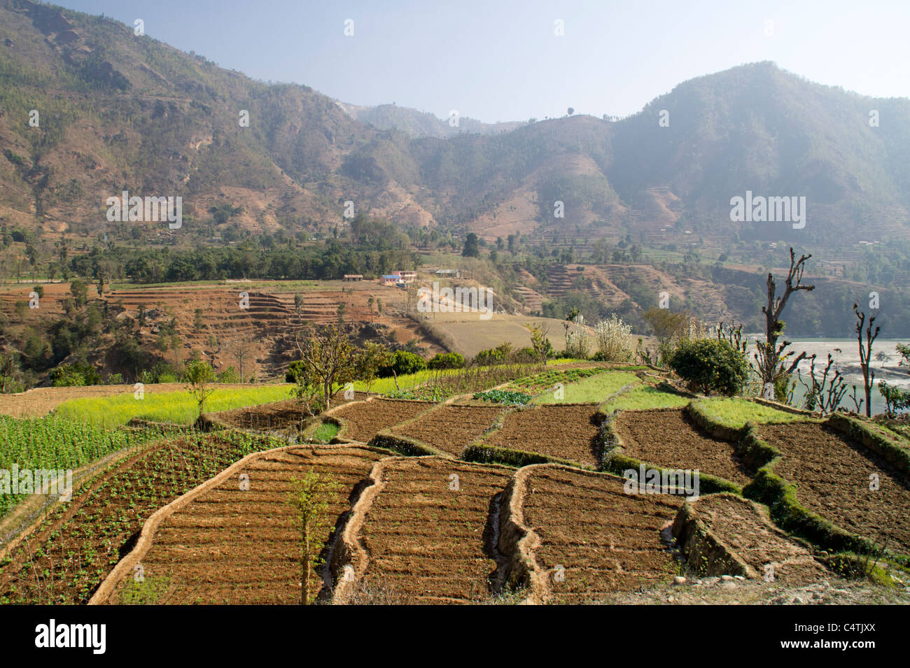 Nepal terraced fields mountain hi-res stock photography and images - Alamy