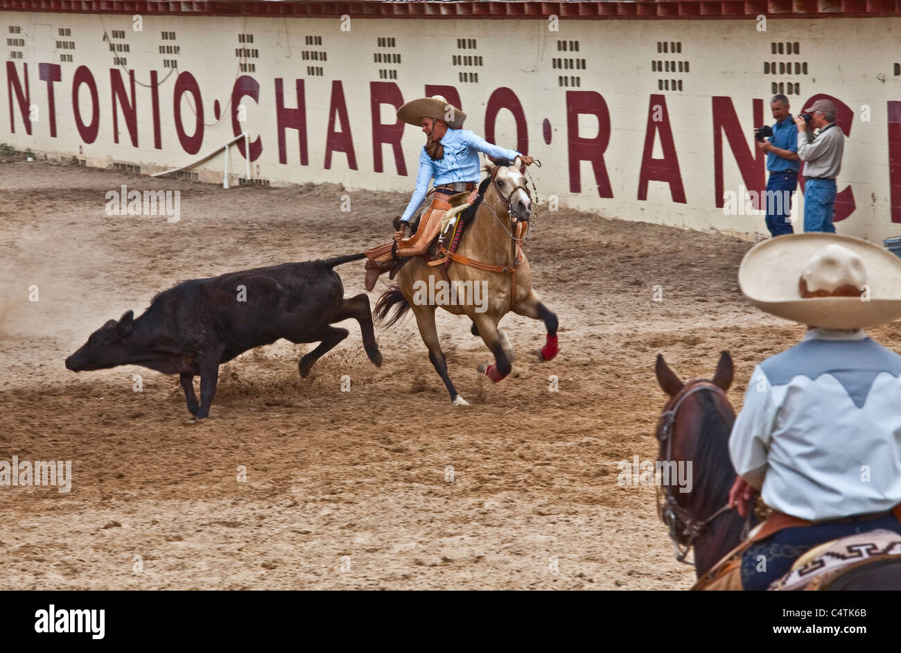Rodeo and horse hi-res stock photography and images - Alamy