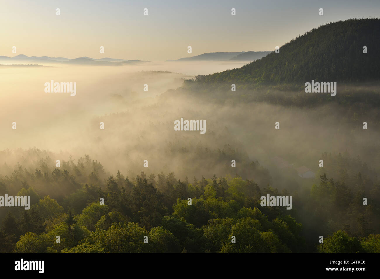 Busenberg hi-res stock photography and images - Alamy