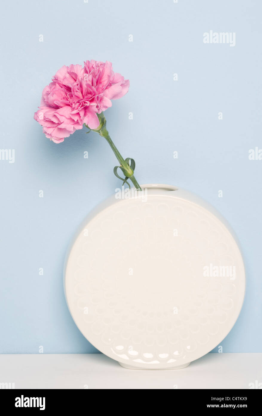Carnation in vase hi-res stock photography and images - Alamy