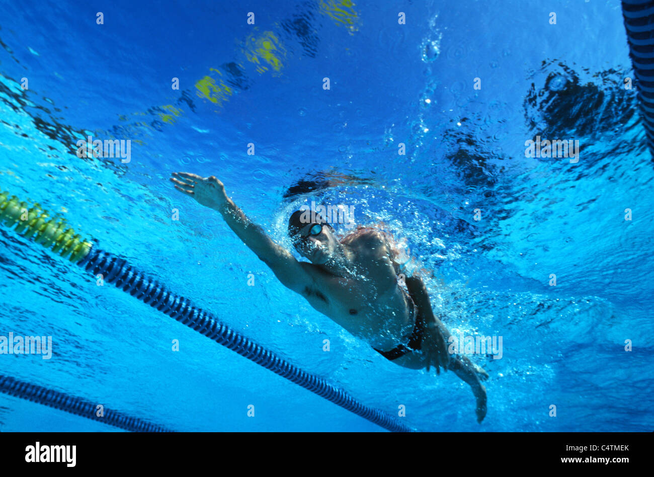 adult man swimming freestyle underwater Stock Photo - Alamy
